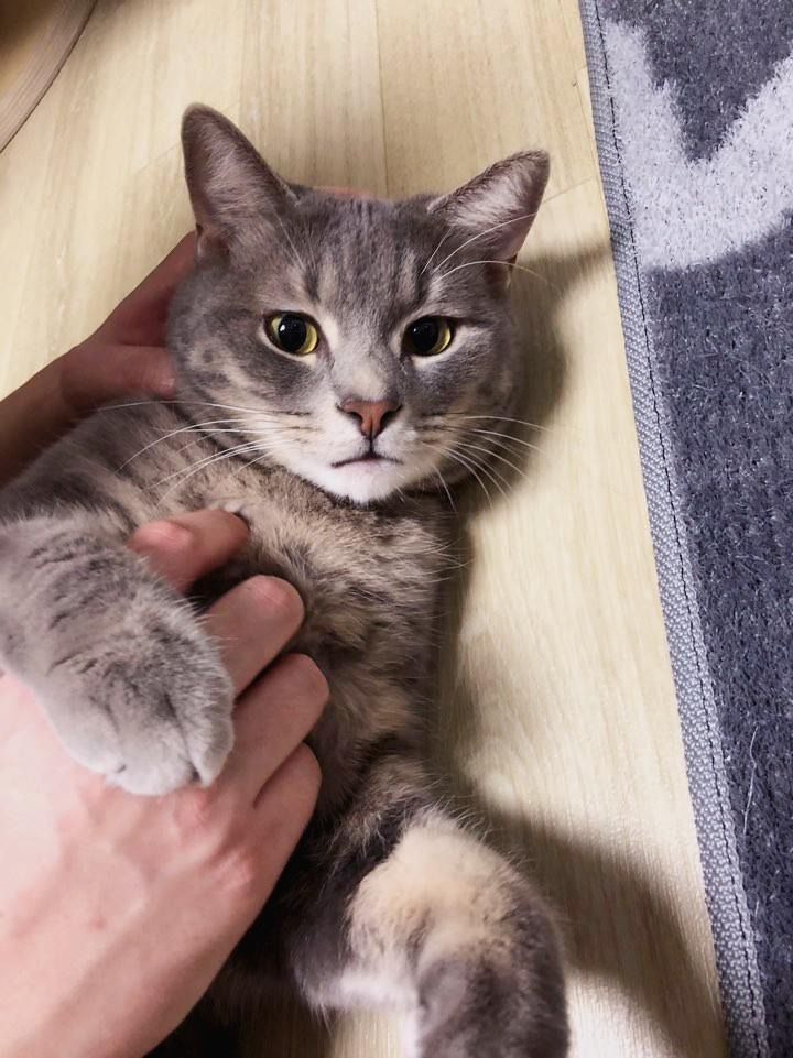 java.math.BigDecimal cannot be cast to java.lang.String 에러 해결 방법